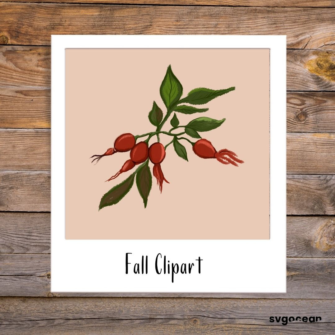 Fall Sublimation Bundle vector for instant download - Svg Ocean — svgocean