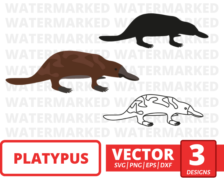 Platypus SVG bundle vector for instant download - Svg Ocean — svgocean