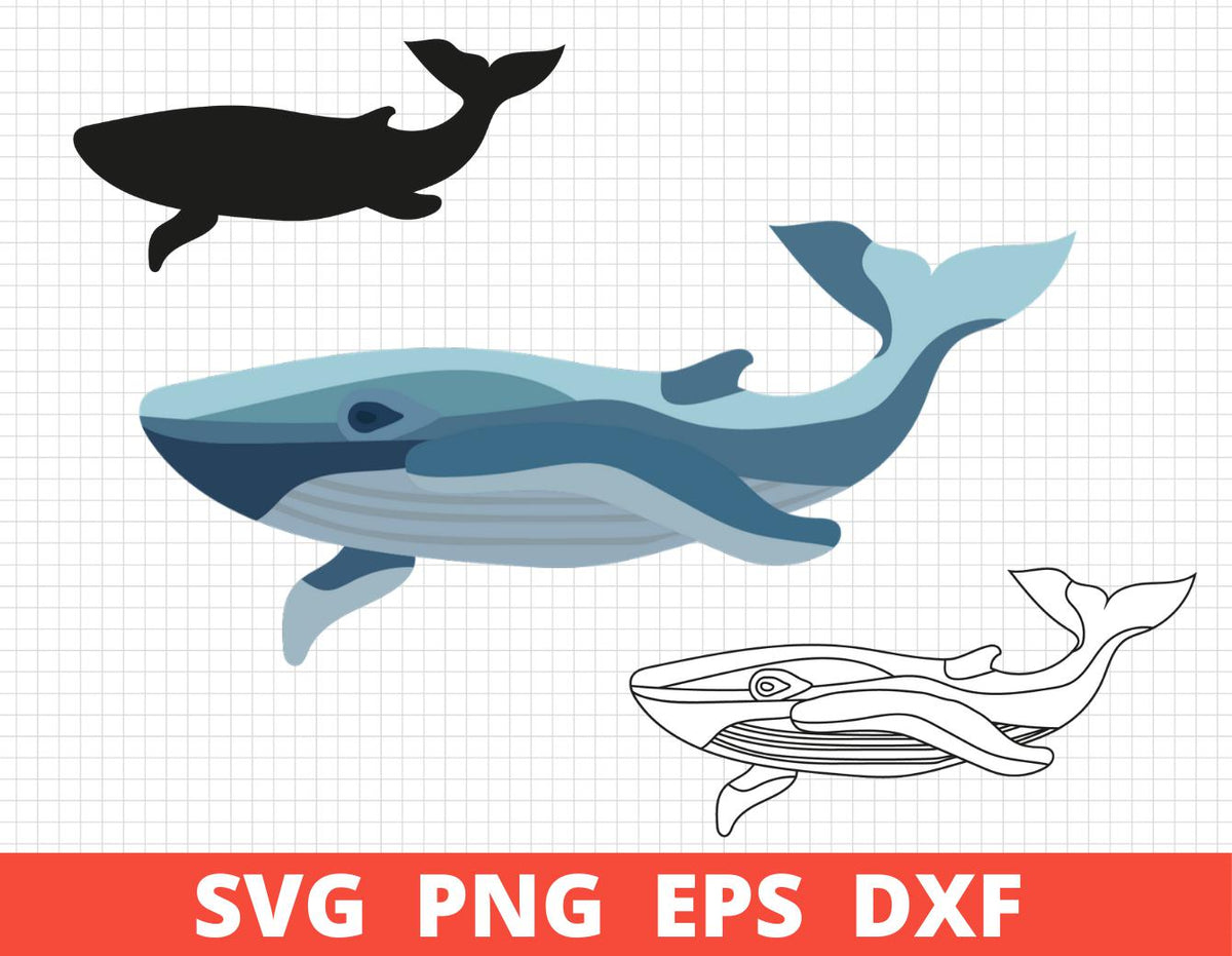 Whale SVG bundle vector for instant download - Svg Ocean — svgocean