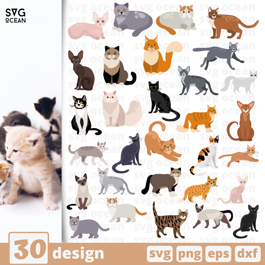 Cat SVG cut files for Cricut & Silhouette - Svg Ocean — svgocean