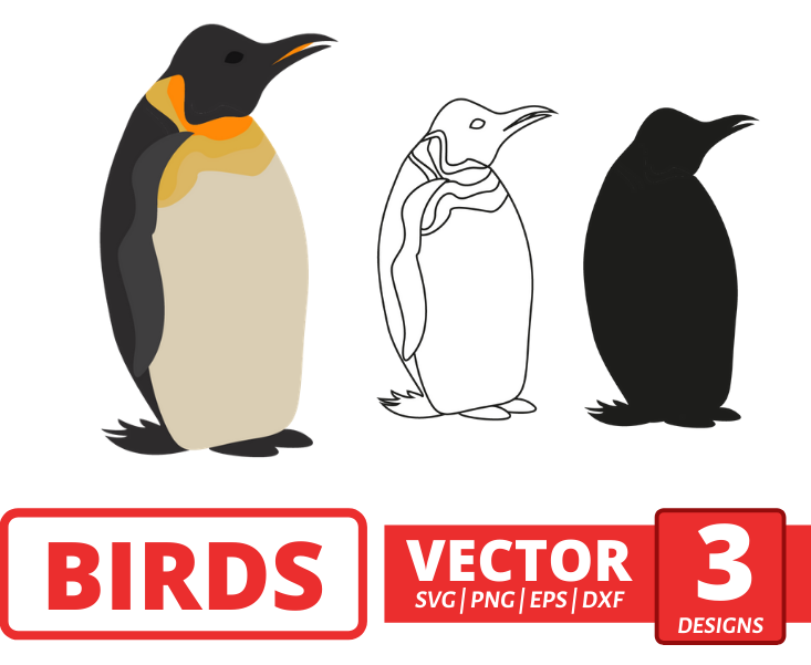 Penguin SVG bundle vector for instant download - Svg Ocean — svgocean