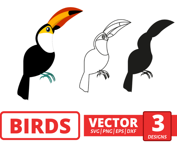 Toucan SVG bundle vector for instant download - Svg Ocean — svgocean