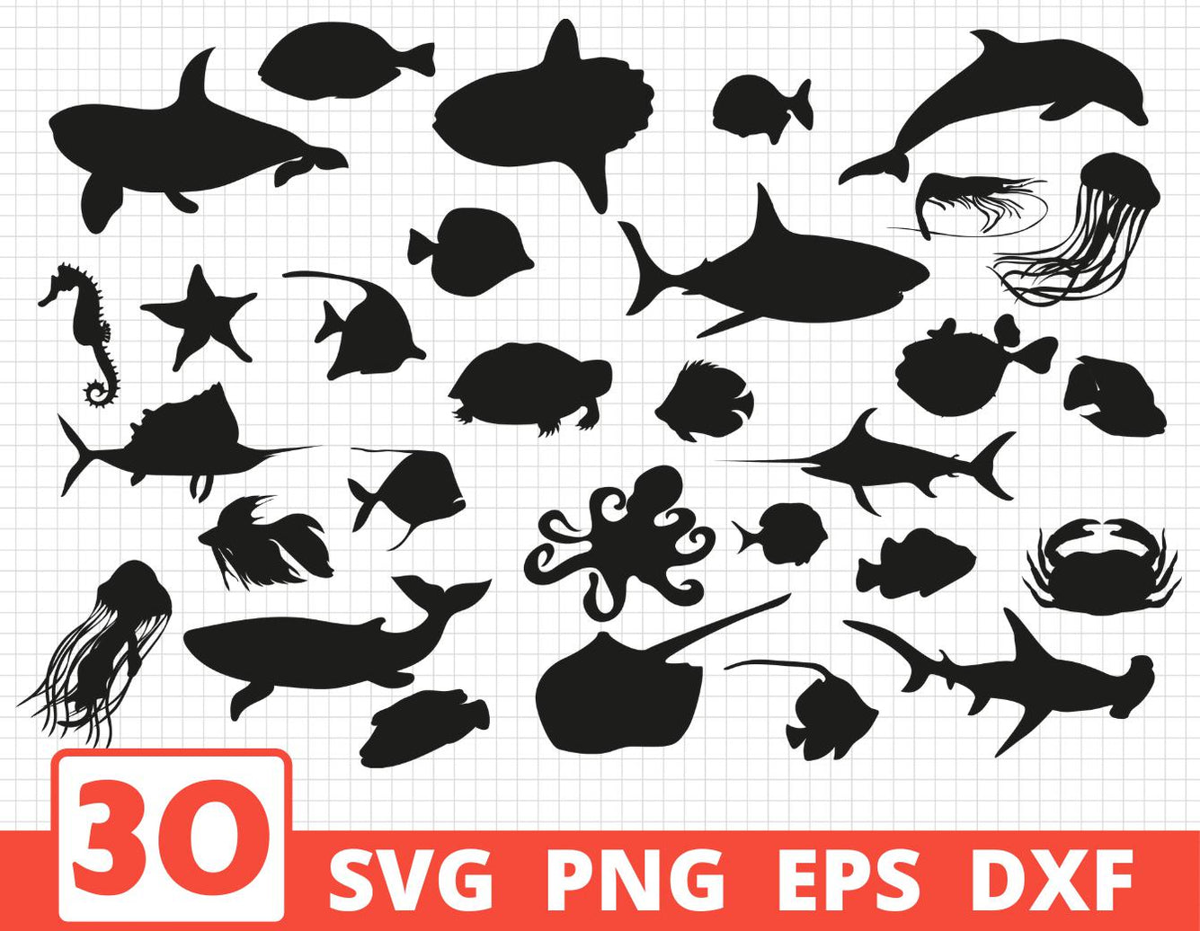 Ocean creatures SVG bundle vector for instant download - Svg Ocean ...